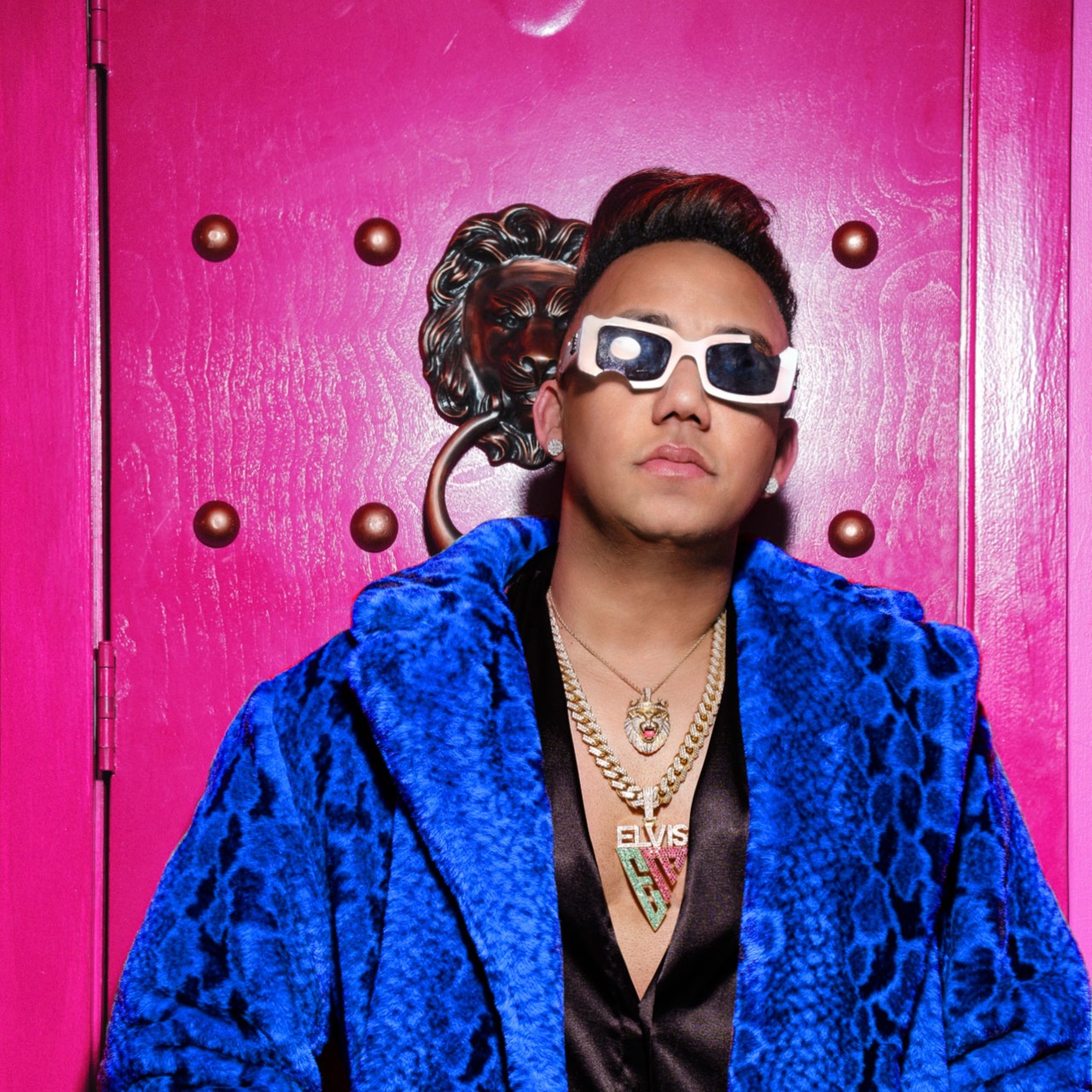 Letra de Elvis Martinez - Maestra - En vivo | Musixmatch