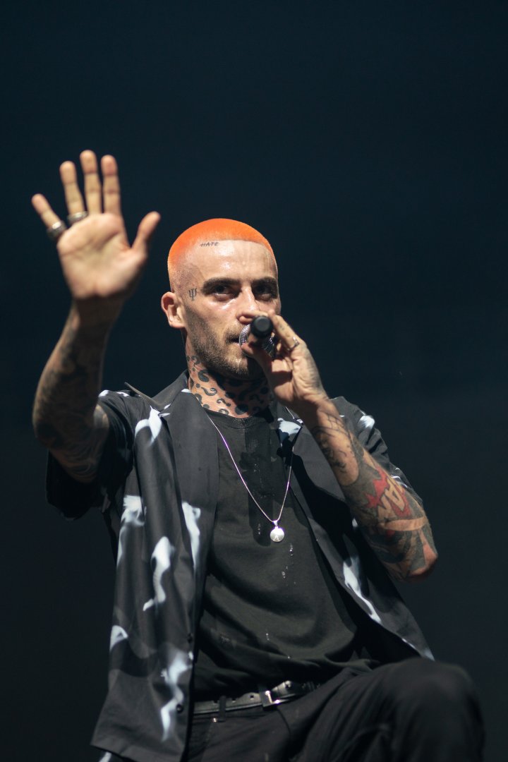 taconafide   tamagotchi