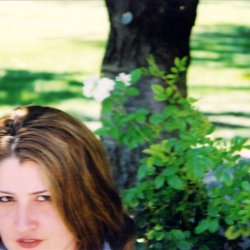 Cynthia Dall lyrics | Musixmatch