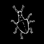 weevildoing, Eleanor Forte - Disposable Girl lyrics | Musixmatch