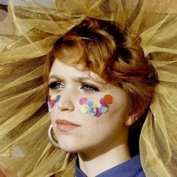 Tangerine Kitty lyrics | Musixmatch